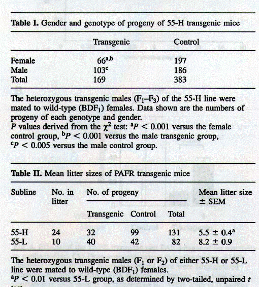 Table I. Gender and genotype of progeny of 55-H transgenic mice